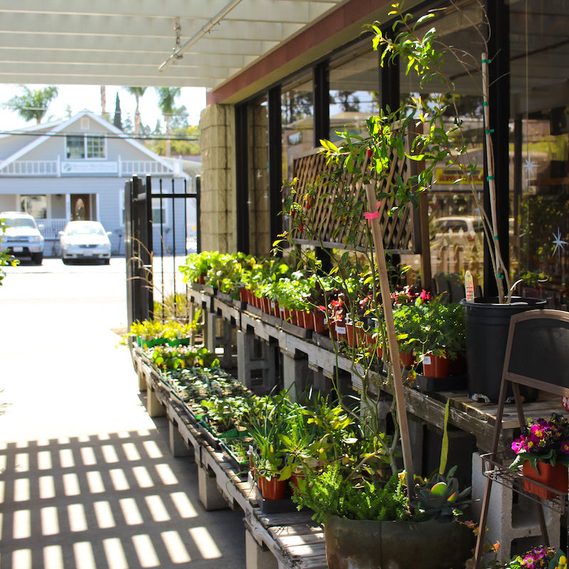 Fallbrook - Grangetto's Farm & Garden Supply